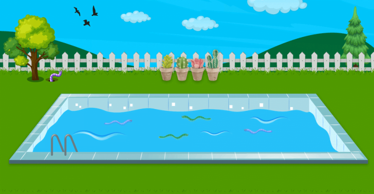 Pool Worms: Best Ways to Remove and Keep Away a Your Pool - Globo Pool